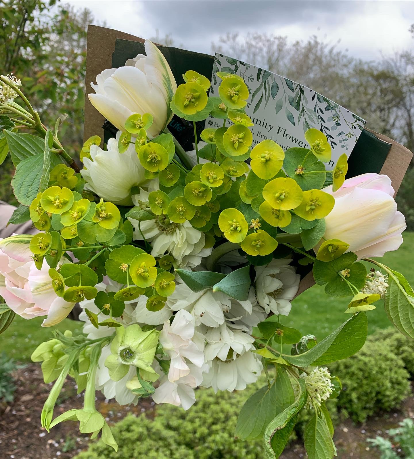 Spring subscription Flowers delivery in Beaconsfield