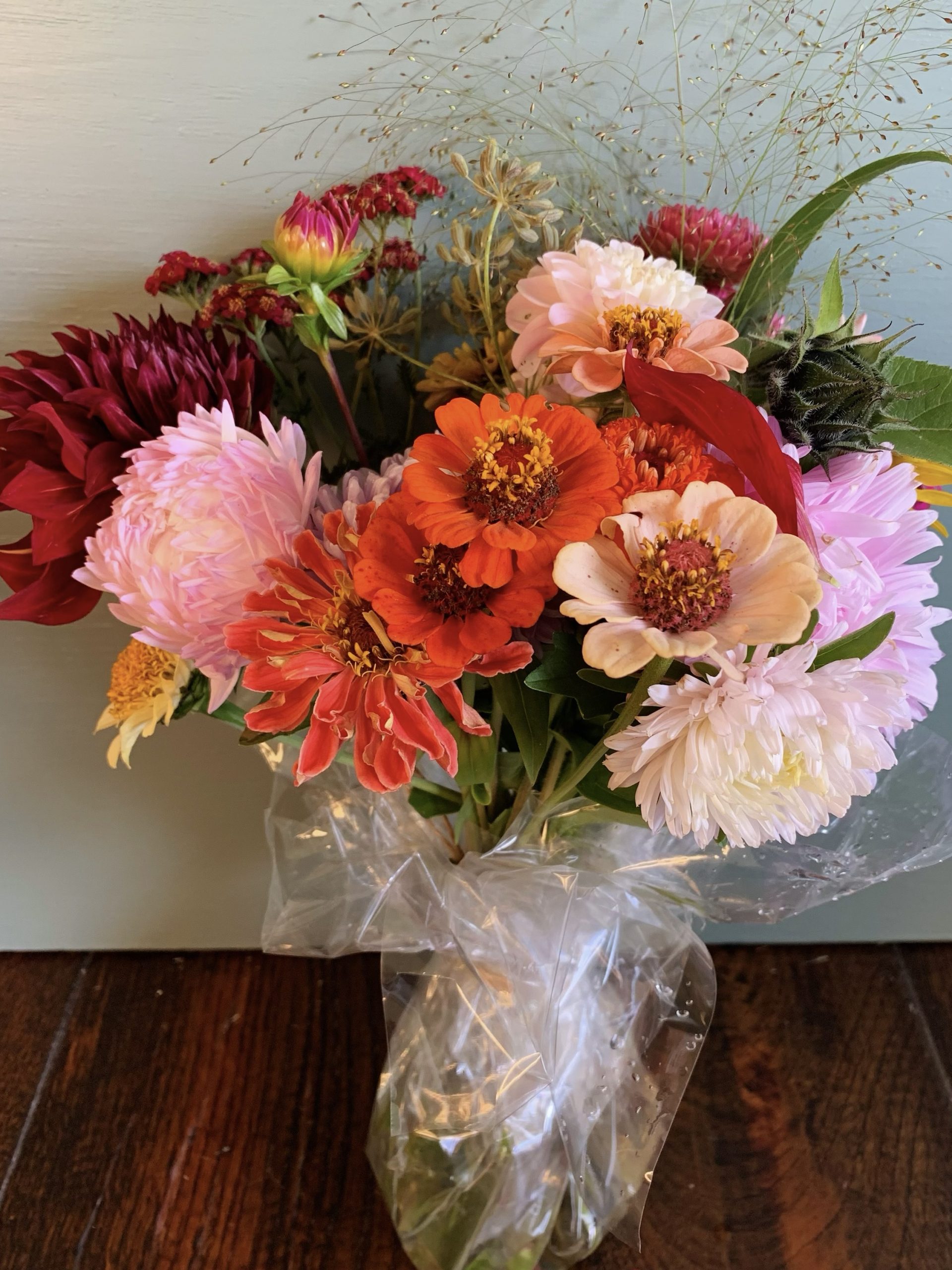 Everyday Flowers - Community Flower Farm Beaconsfield