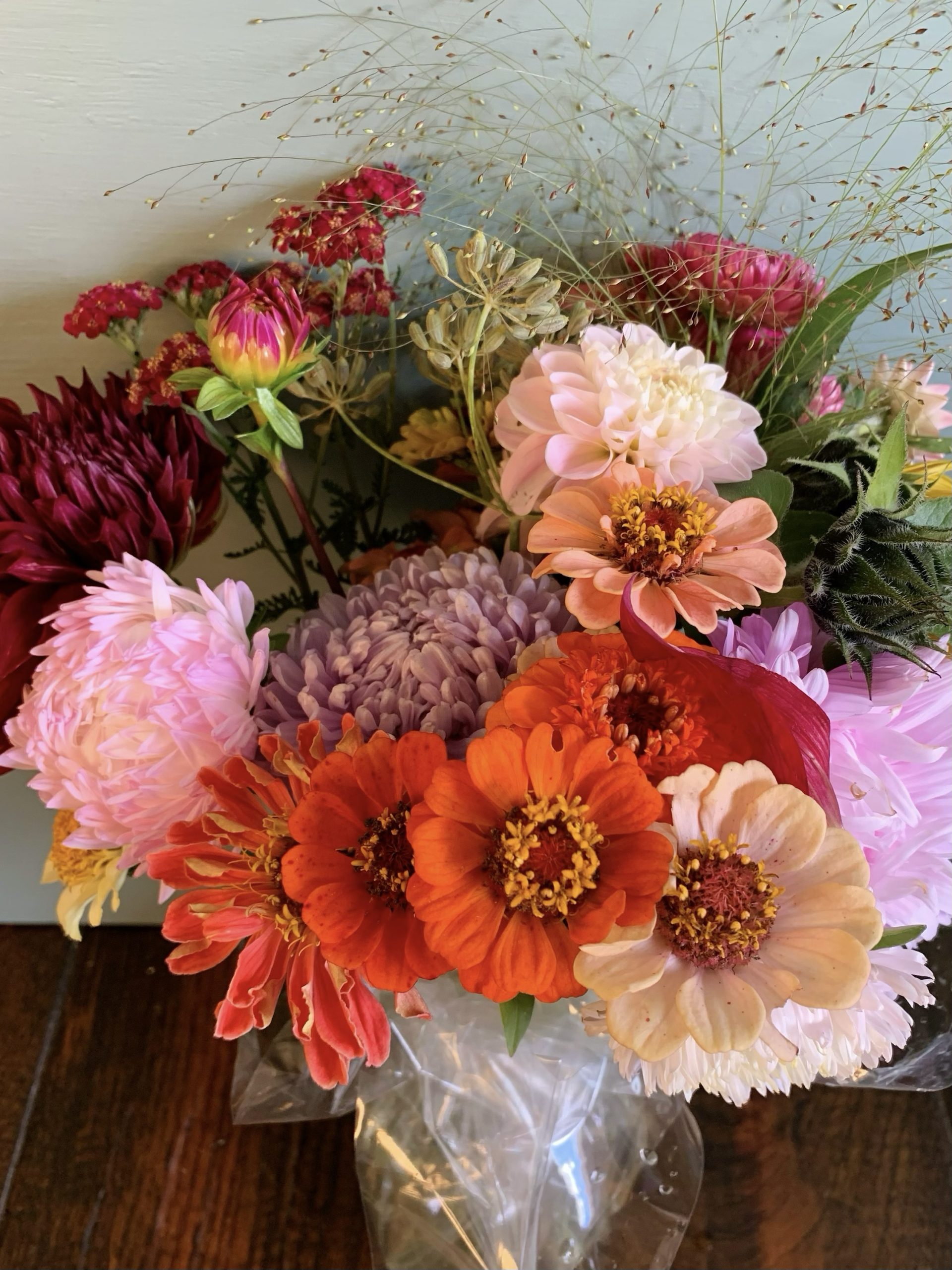 Everyday Flowers - Community Flower Farm Beaconsfield